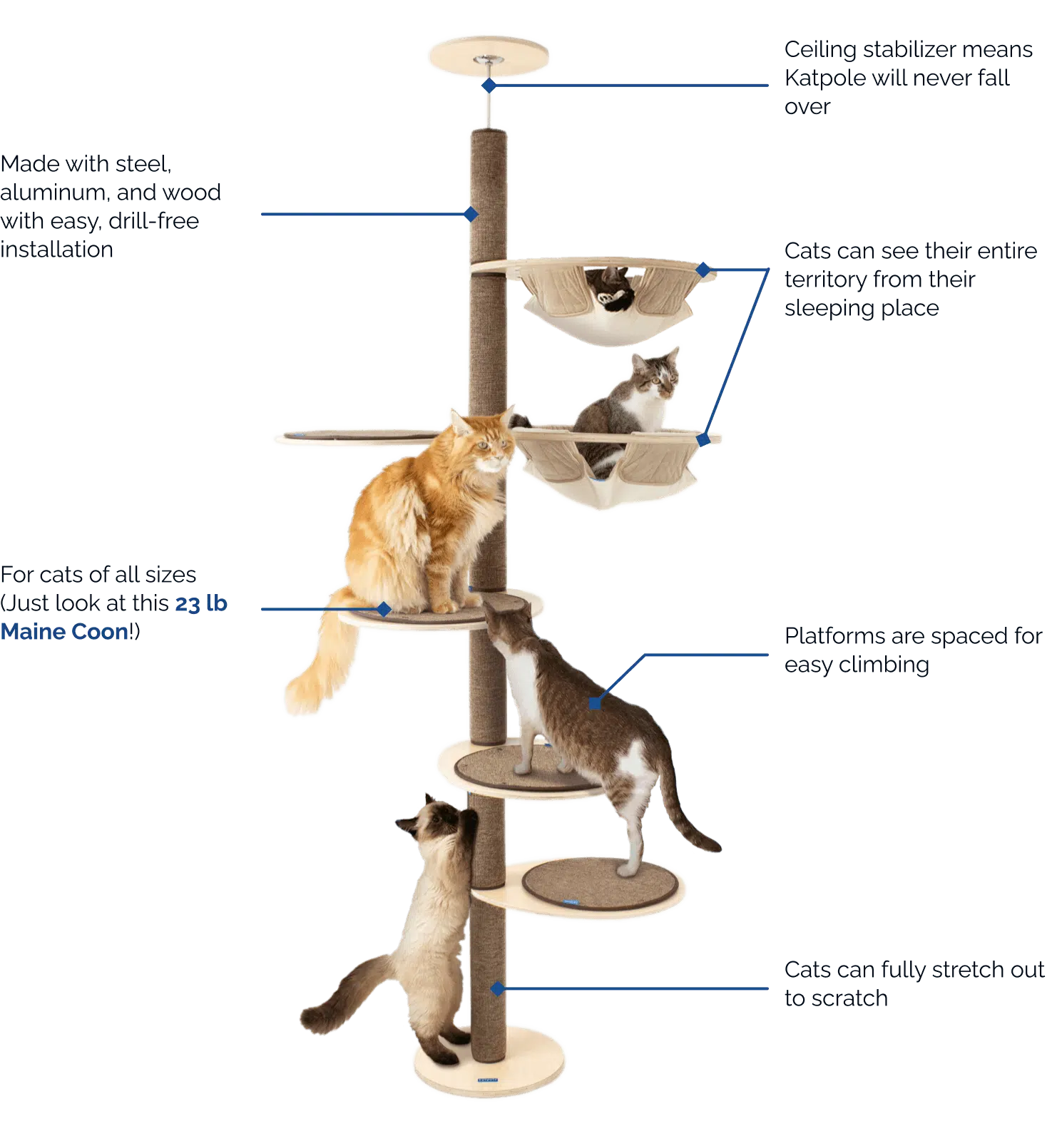 Katpole | Modern Cat Tree