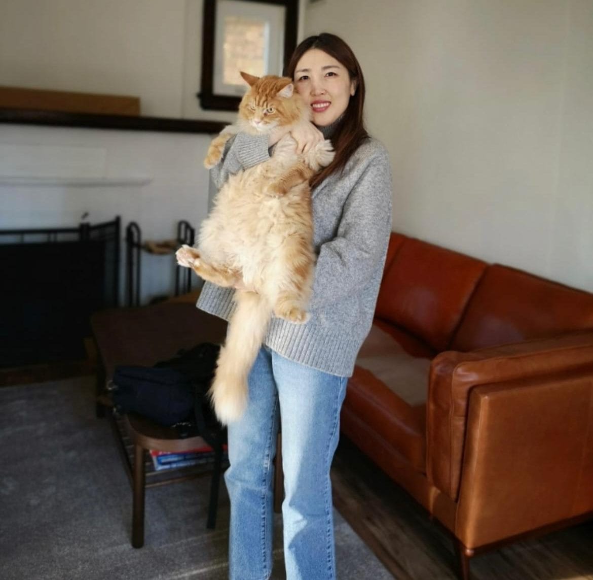 Katpole | Modern Cat Tree